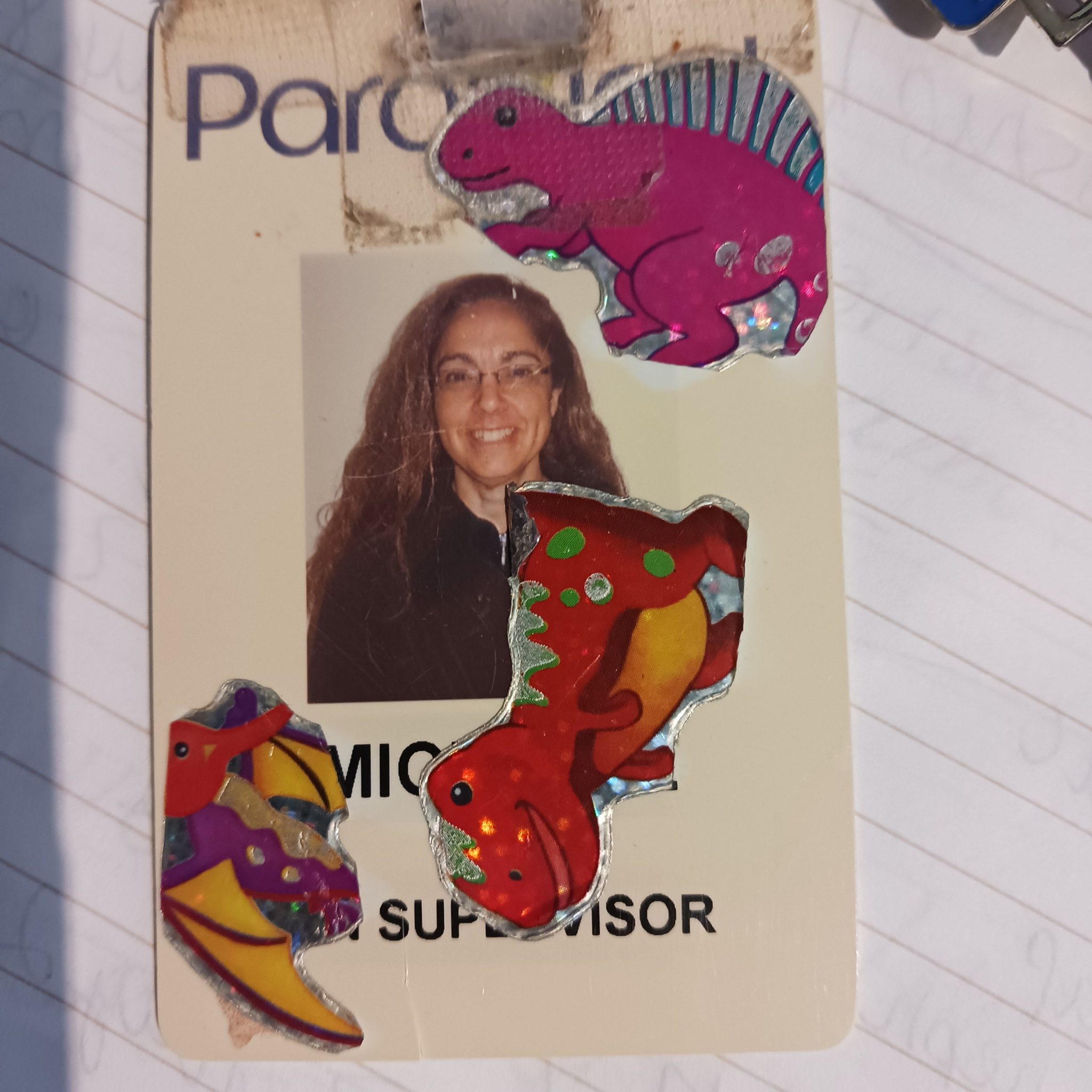 Community Health Nurses of Canada 2024 Award of Merit Presented to ...